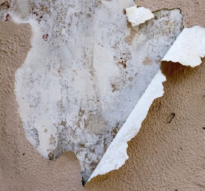 Hair Remonte: How to create a chemical barrier | Propamsa